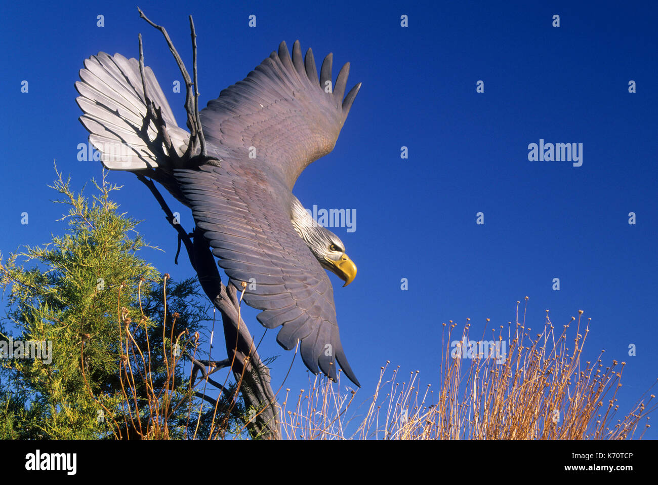 Spirit of Joseph bronze statue, Joseph, Oregon Stock Photo - Alamy