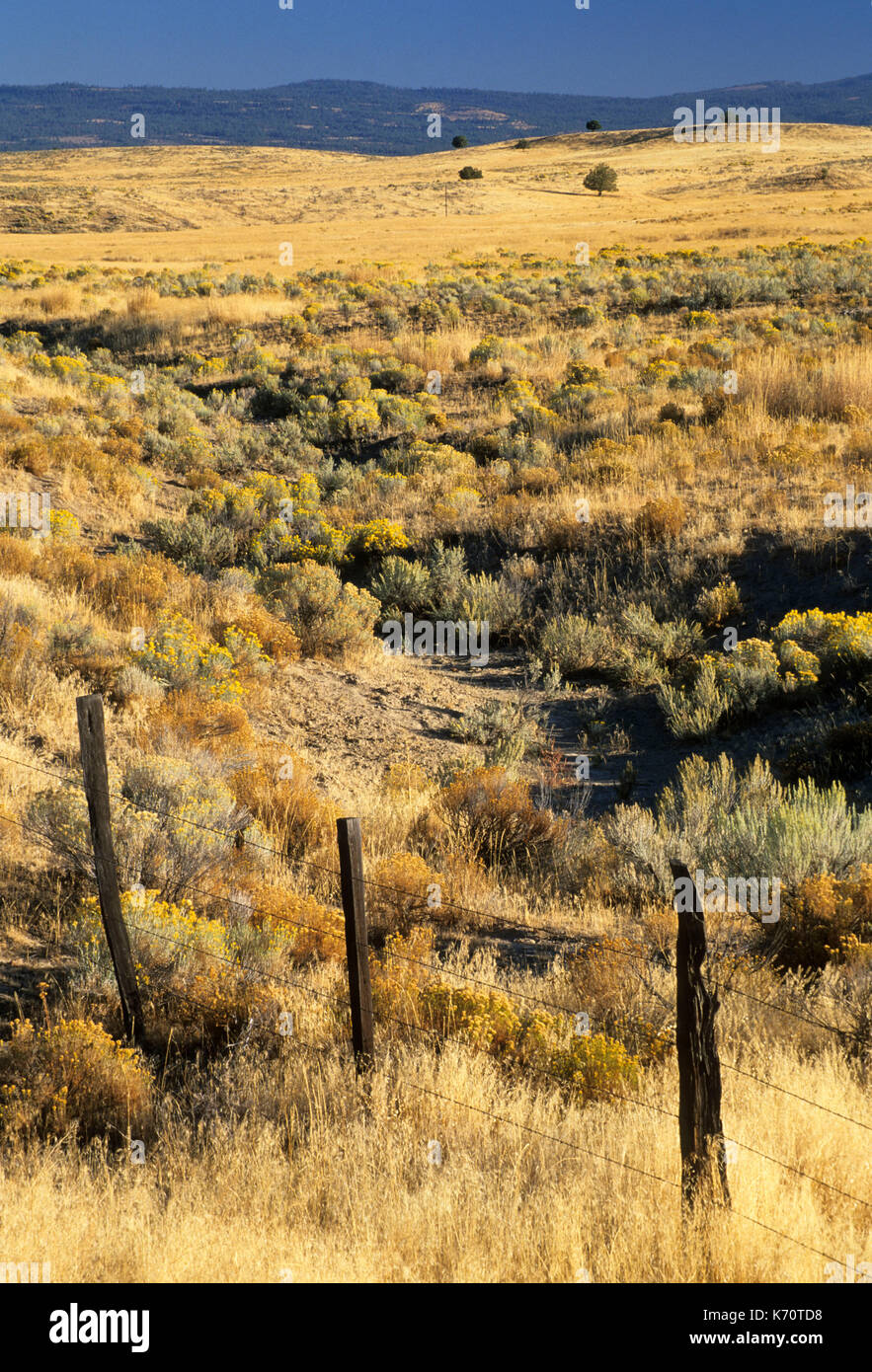 Rangeland east of Paulina, Crook County, Oregon Stock Photo - Alamy