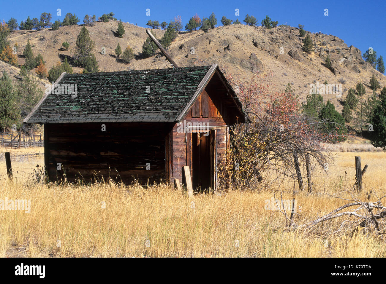 Juniper Hills Preserve High Resolution Stock Photography and Images - Alamy