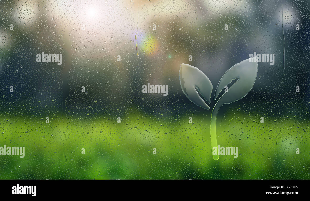 Condensation plant hi-res stock photography and images - Alamy