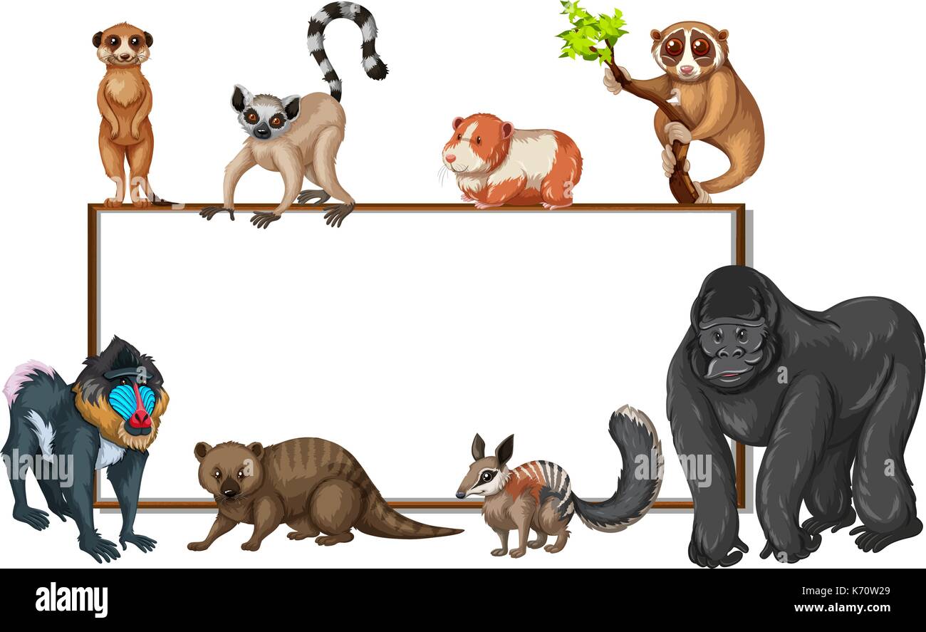 Board template with wild animals illustration Stock Vector Image & Art ...