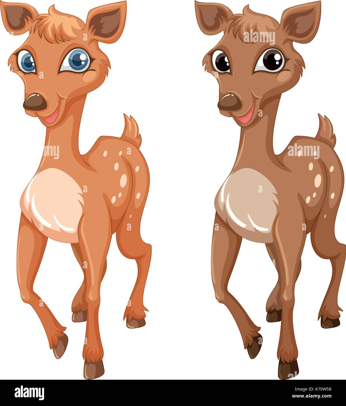 Two fawns on white background illustration Stock Vector Image & Art - Alamy