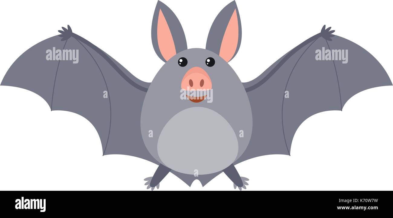 Fat bat Cut Out Stock Images & Pictures - Alamy