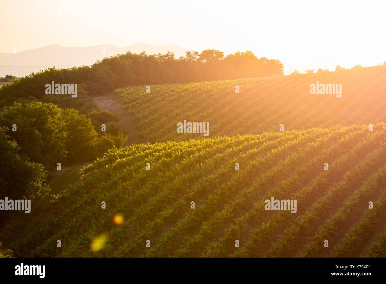 Beautiful spring sunset hi-res stock photography and images - Alamy