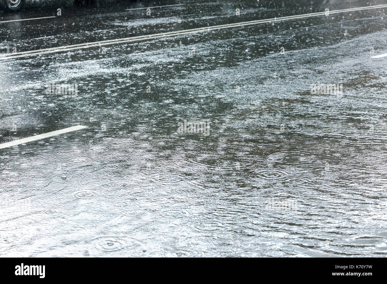 raindrops on asphalt road with water ripples during heavy rain Stock ...