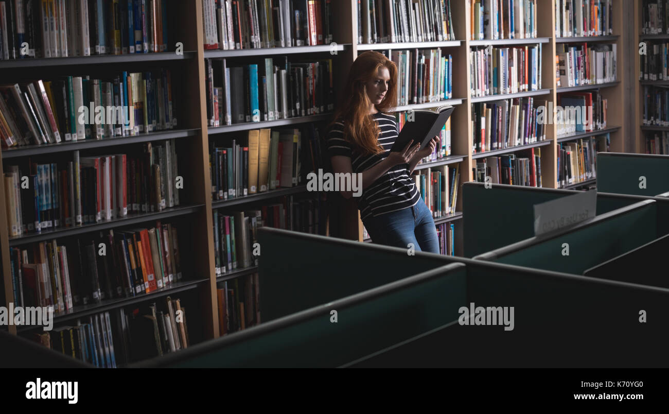 Woman Reading A Book In Library