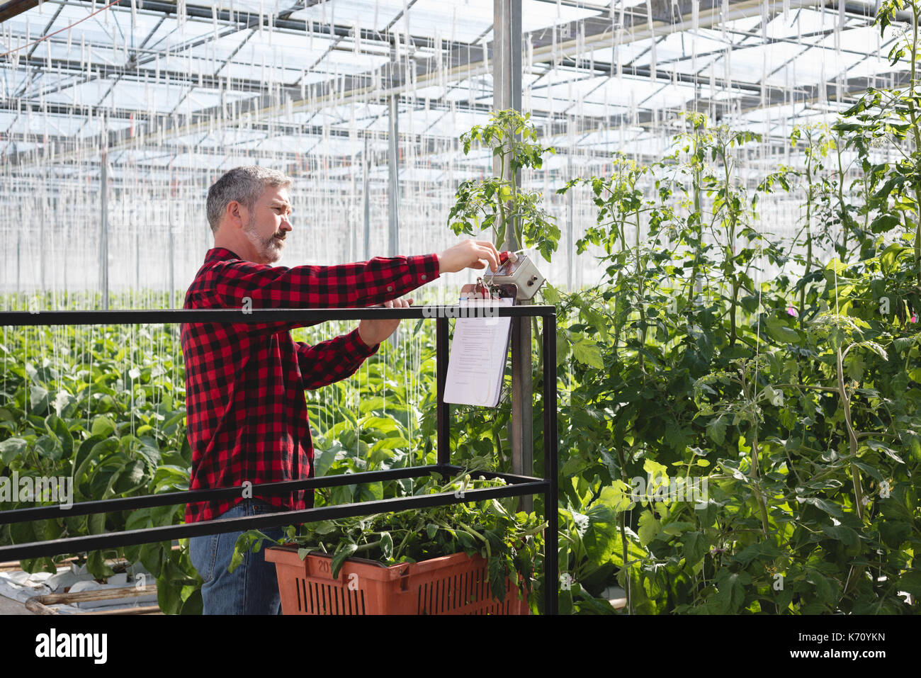Man as a plant hi-res stock photography and images - Alamy