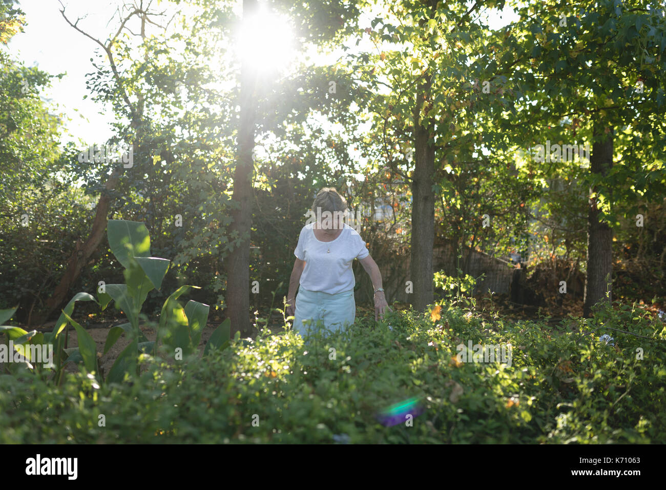 Woman walking on sunny day hi-res stock photography and images - Alamy
