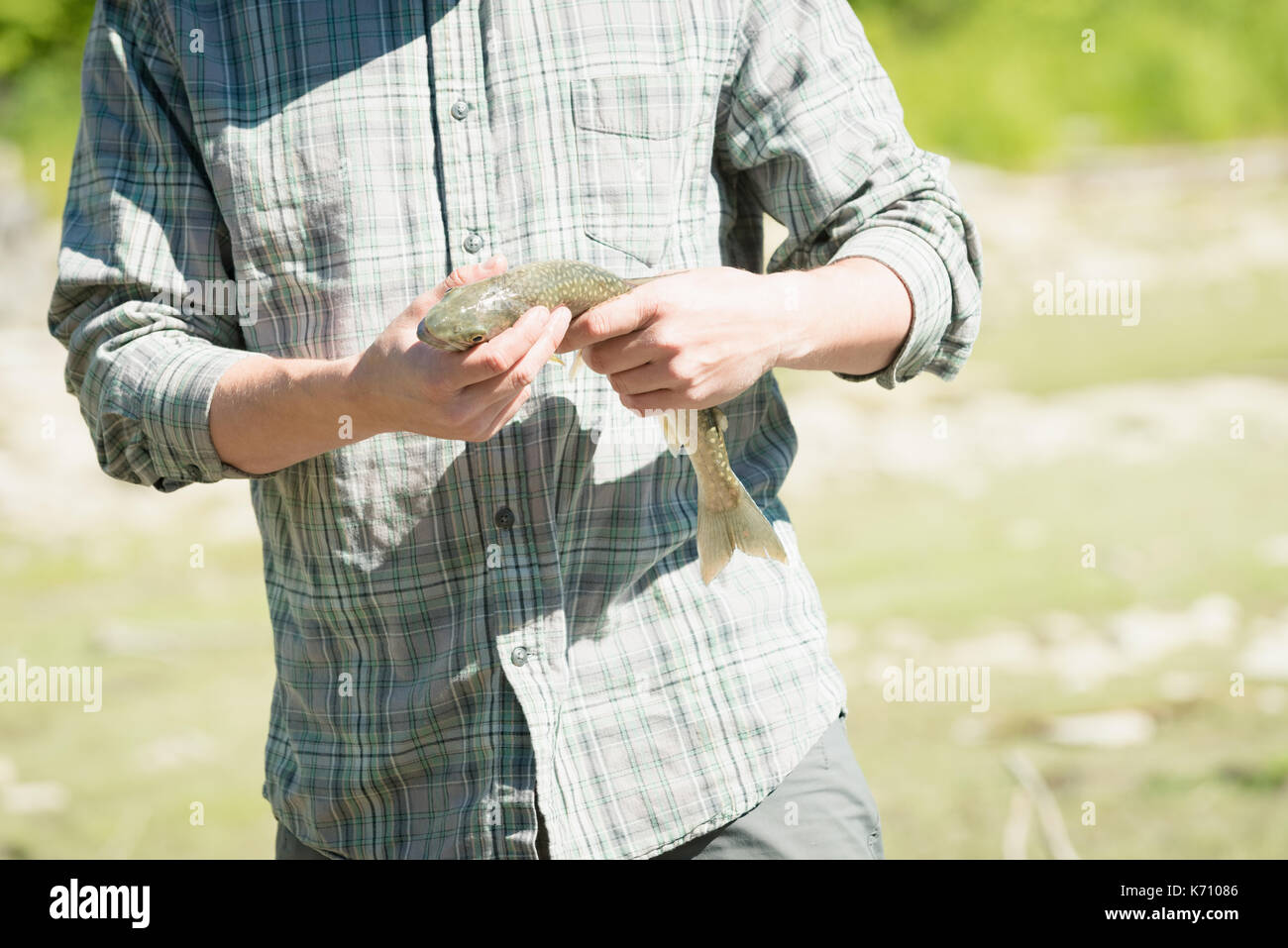 Checked section pattern hi-res stock photography and images - Alamy