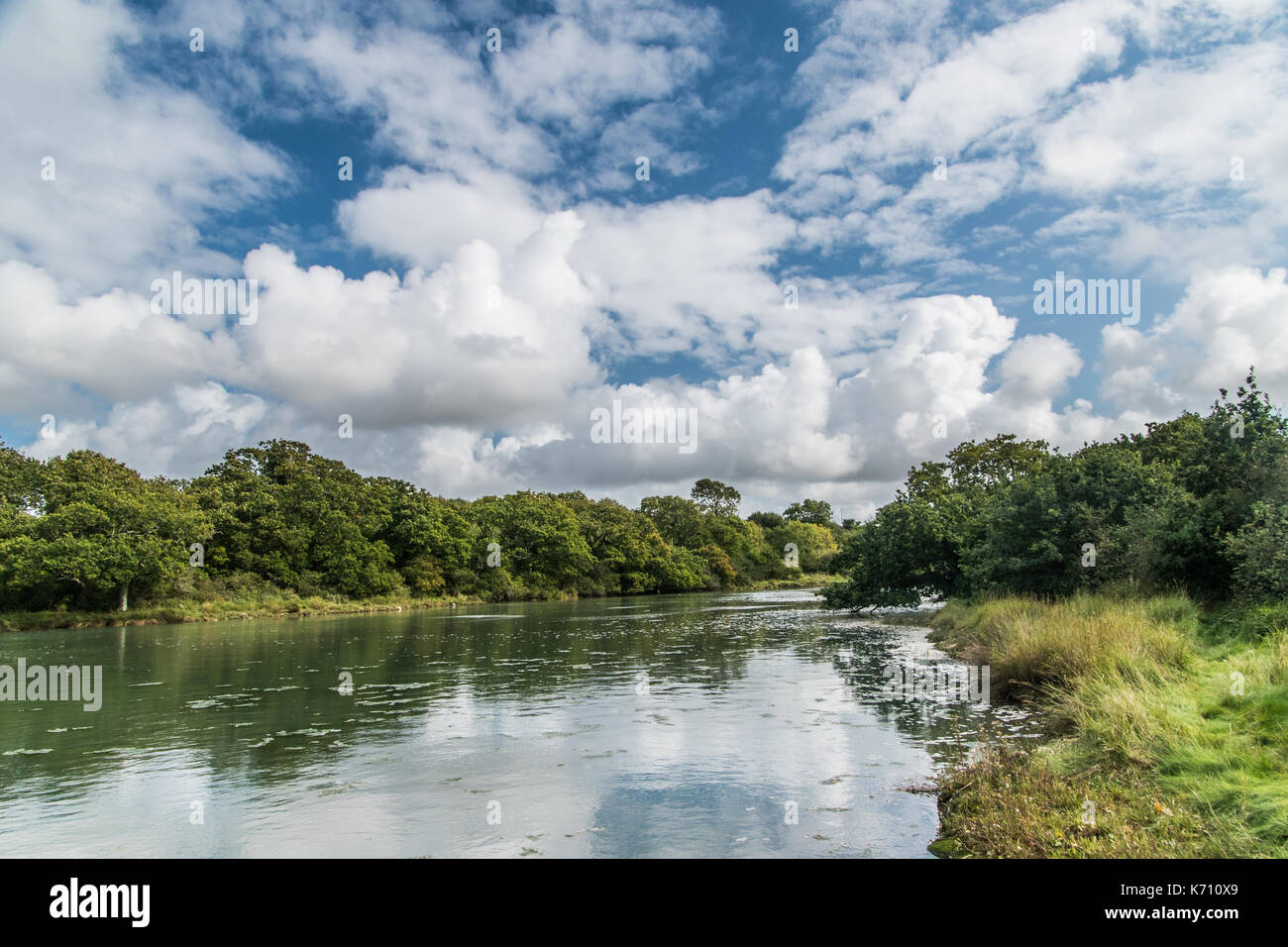 Newtown creek hi-res stock photography and images - Alamy