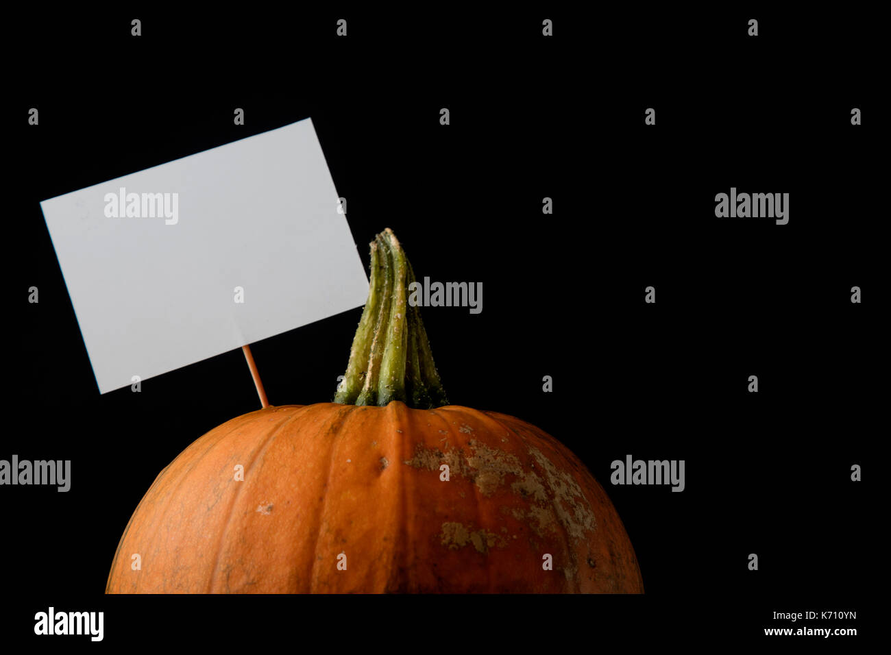 Halloween pumpkin with blank sign label Stock Photo - Alamy