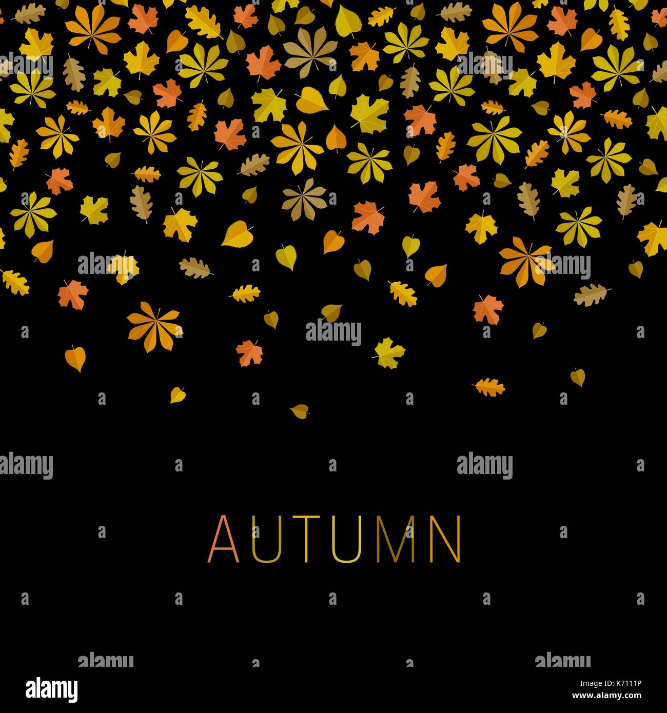 Black maple autumn leaf Stock Vector Images - Alamy