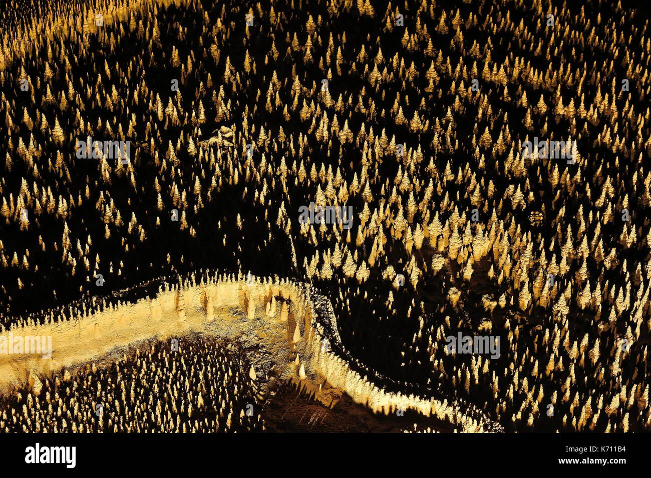 France, Gard, Mialet, Trabuc Cave, special concretions called the ...