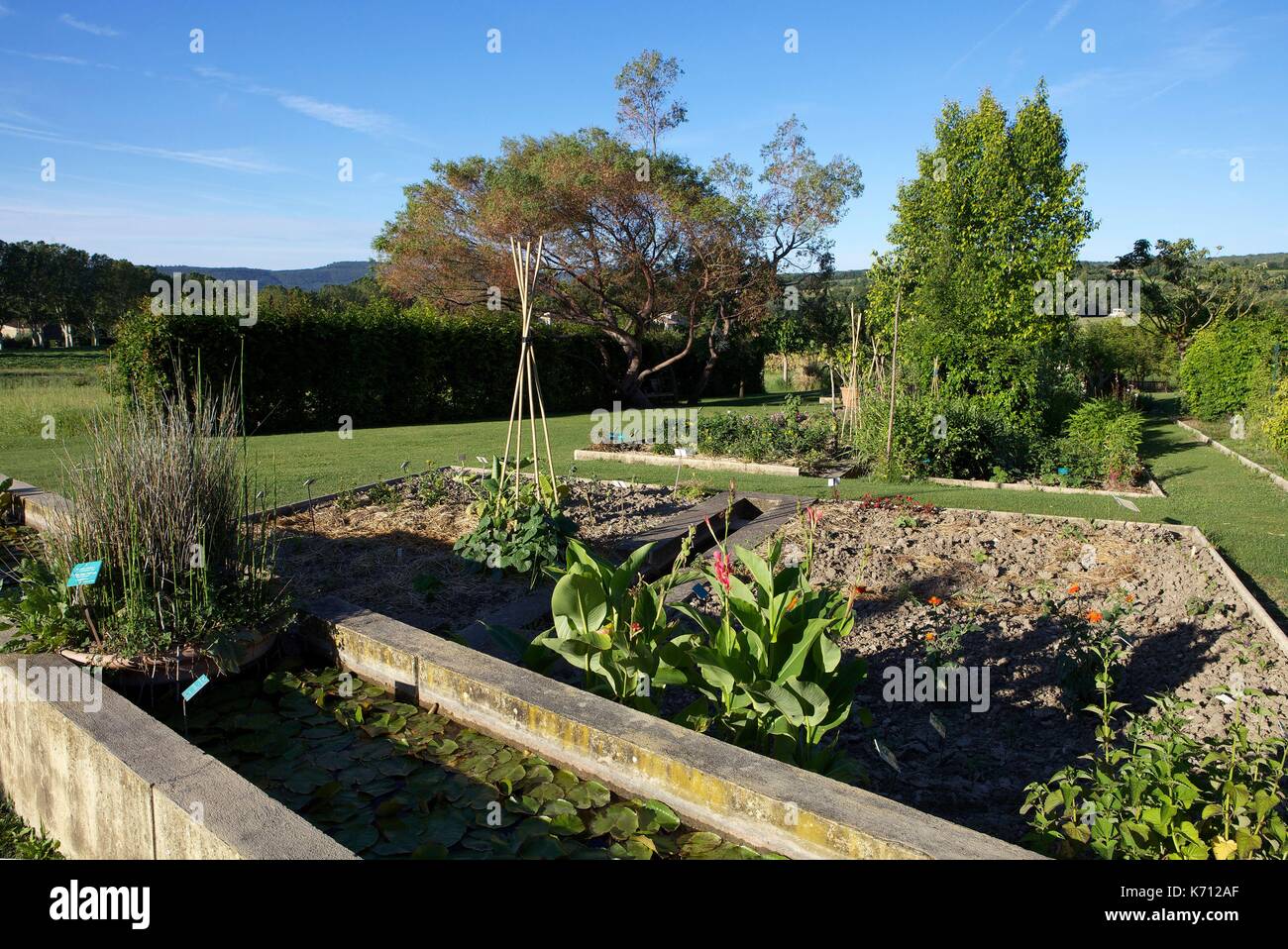 France, Alpes de Haute Provence, Mane, Abbey of Salagon A lush greenery ...