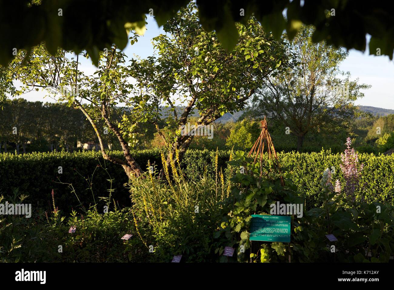 France, Alpes de Haute Provence, Mane, Abbey of Salagon A lush greenery ...