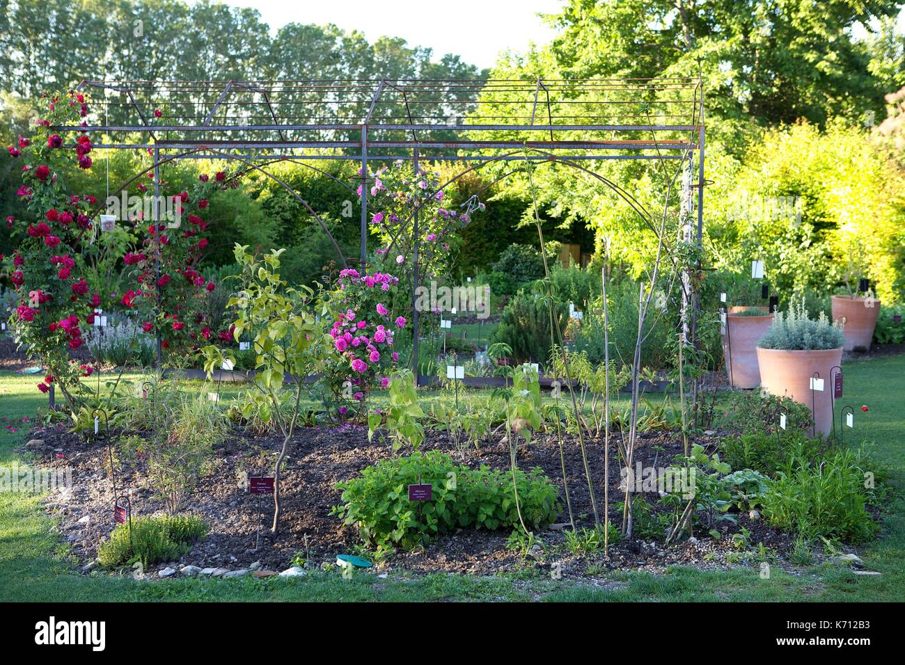 France, Alpes de Haute Provence, Mane, Abbey of Salagon A lush greenery ...