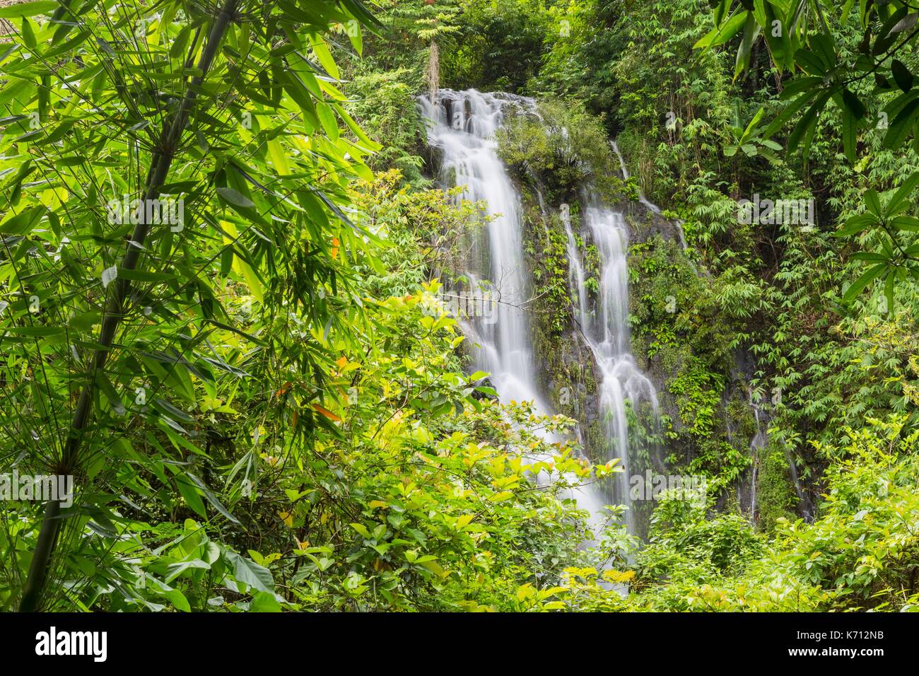 Philippines, Mindoro Island, Occidental Mindoro, Municipality of ...