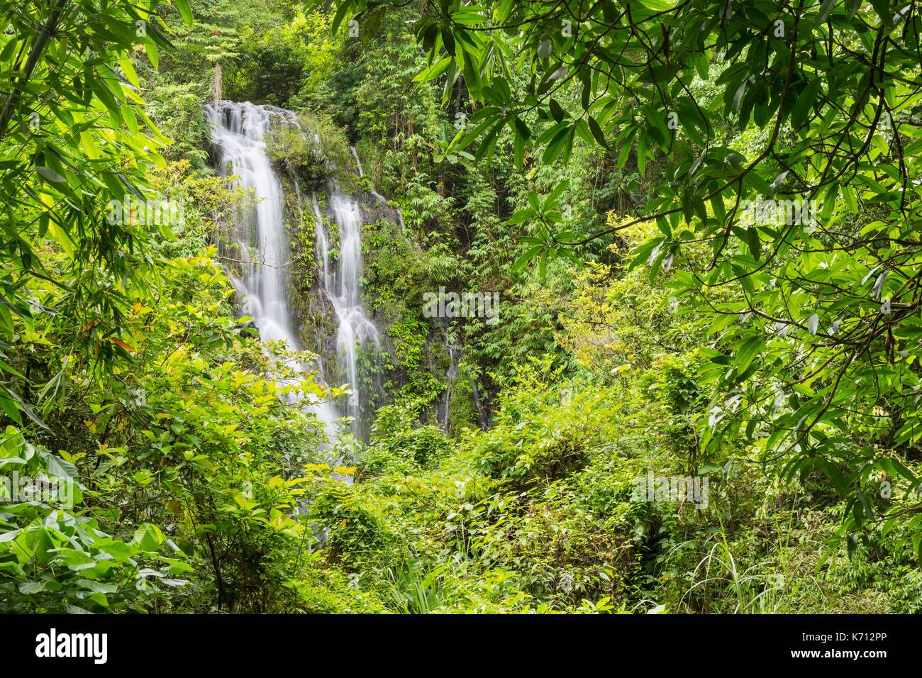 Land For Sale San Jose Occidental Mindoro at Raymond Terrell blog