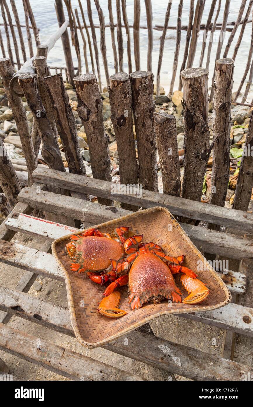 Curacha crab hi-res stock photography and images - Alamy