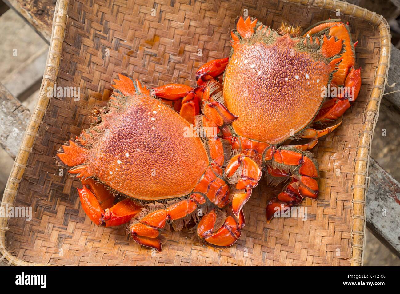 Curacha crab hi-res stock photography and images - Alamy