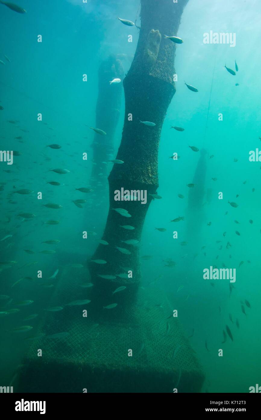 Philippines, Palawan, floating stocking cages facilities Stock Photo ...