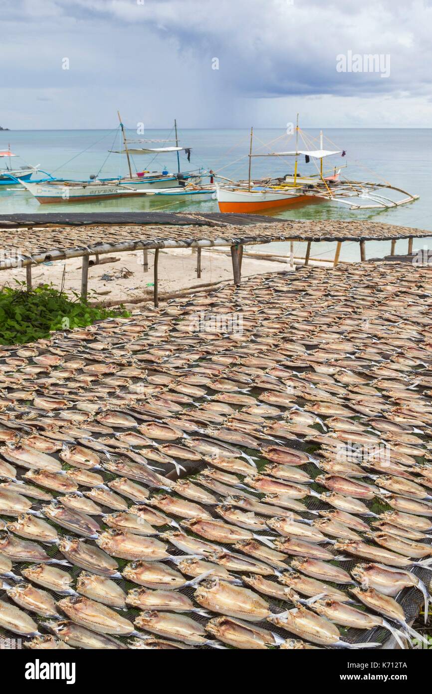 Philippines, Palawan, Dumaran Island, Araceli, Tinintinan beach, fishes ...