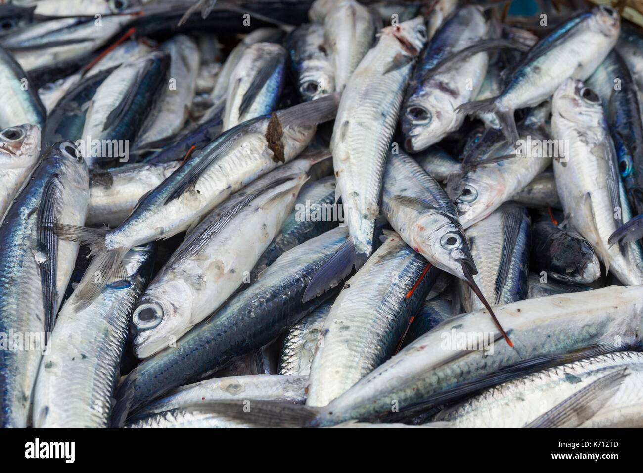 Philippines, Palawan, Dumaran Island, Araceli, Tinintinan beach, flying ...