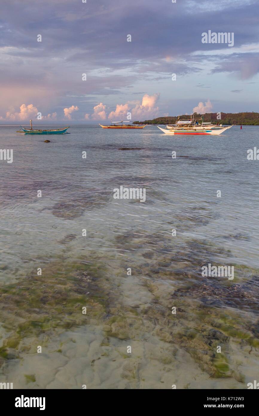 Araceli hi-res stock photography and images - Alamy