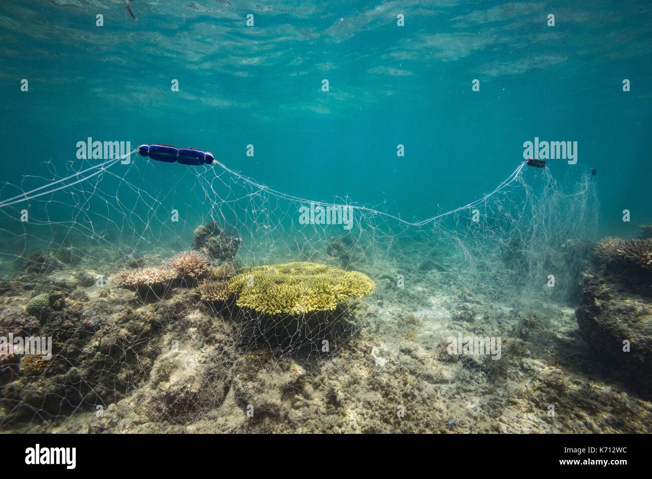 Philippines, Palawan, Dumaran Island, fishnet on a reef Stock Photo - Alamy