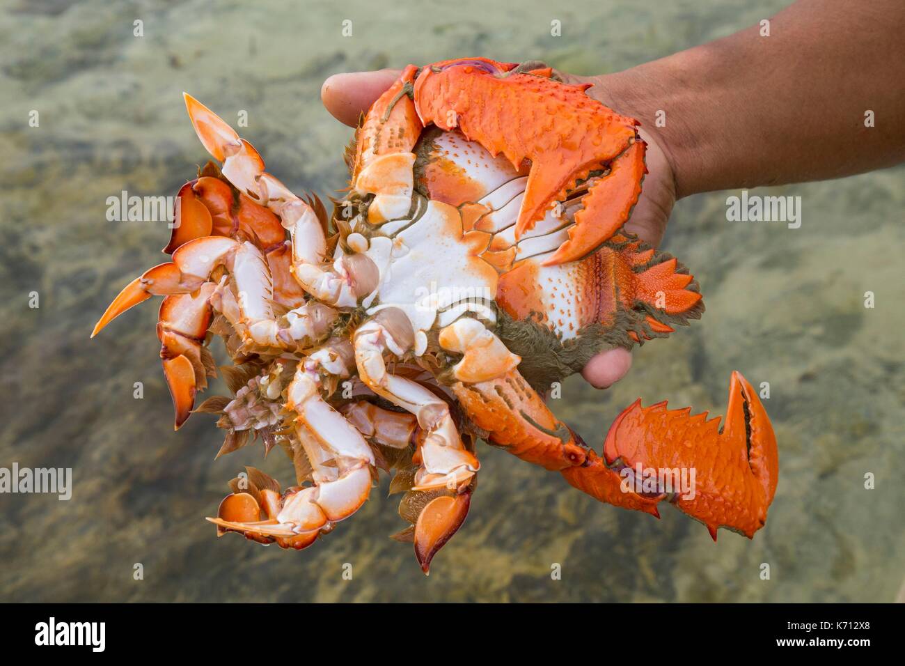 Philippines, Palawan, Dumaran Island, Araceli, fisherman showing a red ...