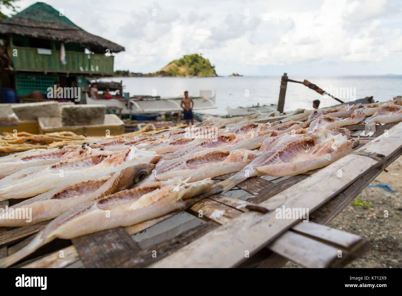 Philippines, Palawan, Calandagan Island, fish drying Stock Photo - Alamy