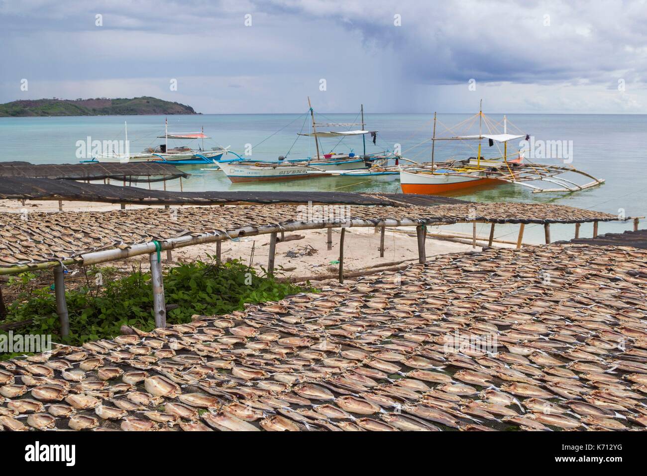 Philippines, Palawan, Dumaran Island, Araceli, Tinintinan beach, fishes ...
