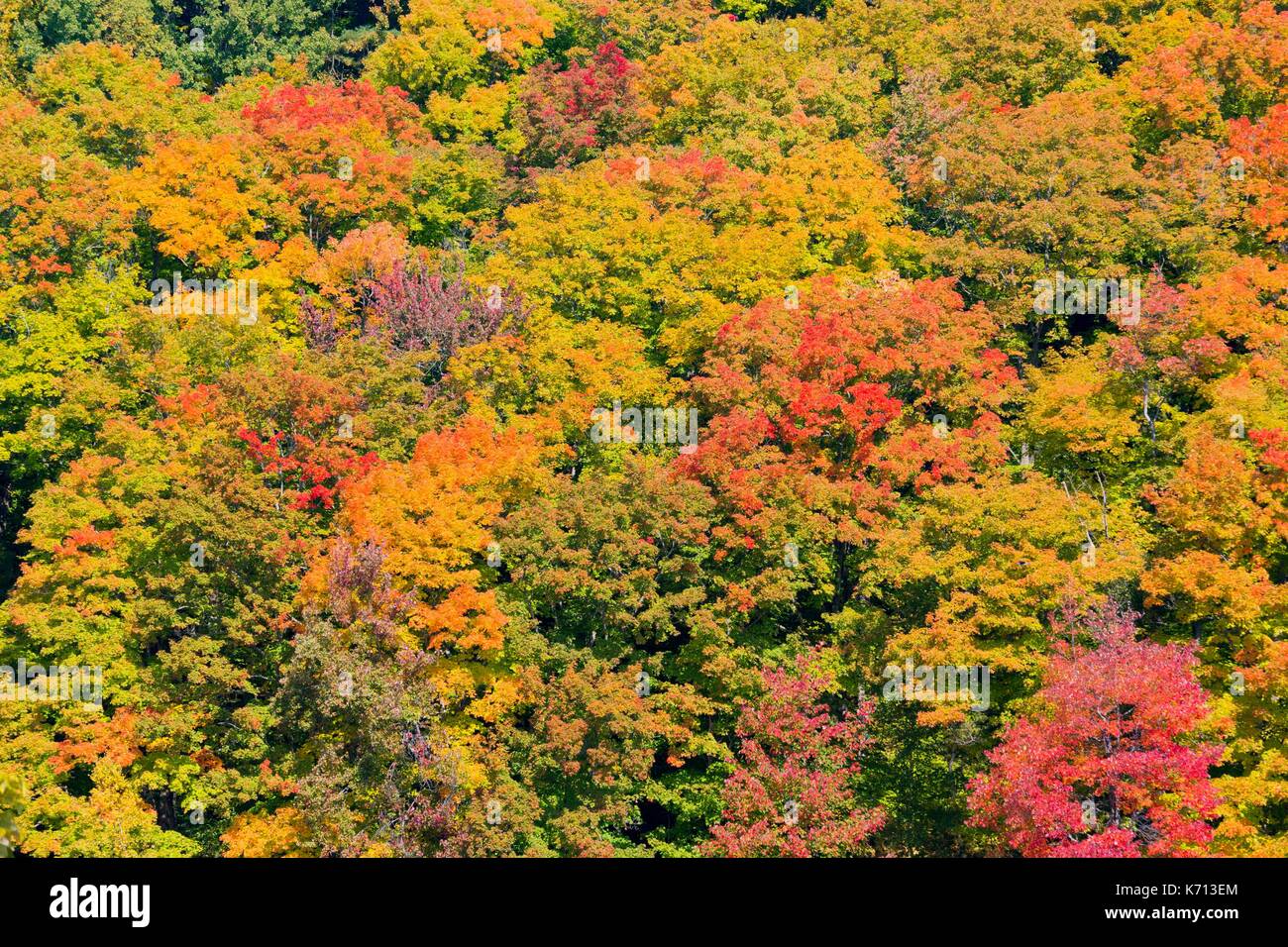 Canada, province of Quebec, the tourist route Chemin du Roy, the ...