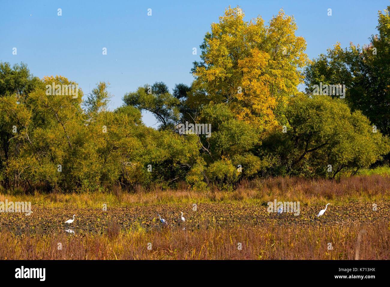 Berthierville hi-res stock photography and images - Alamy