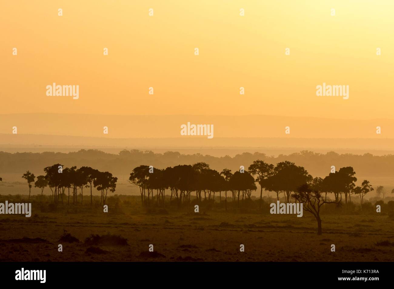 Kenya, Masai-Mara National Game Reserve, sunrise above Musiara marsh ...