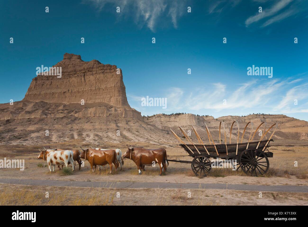 Nebraska's Wagon Train: Where History Meets Adventure