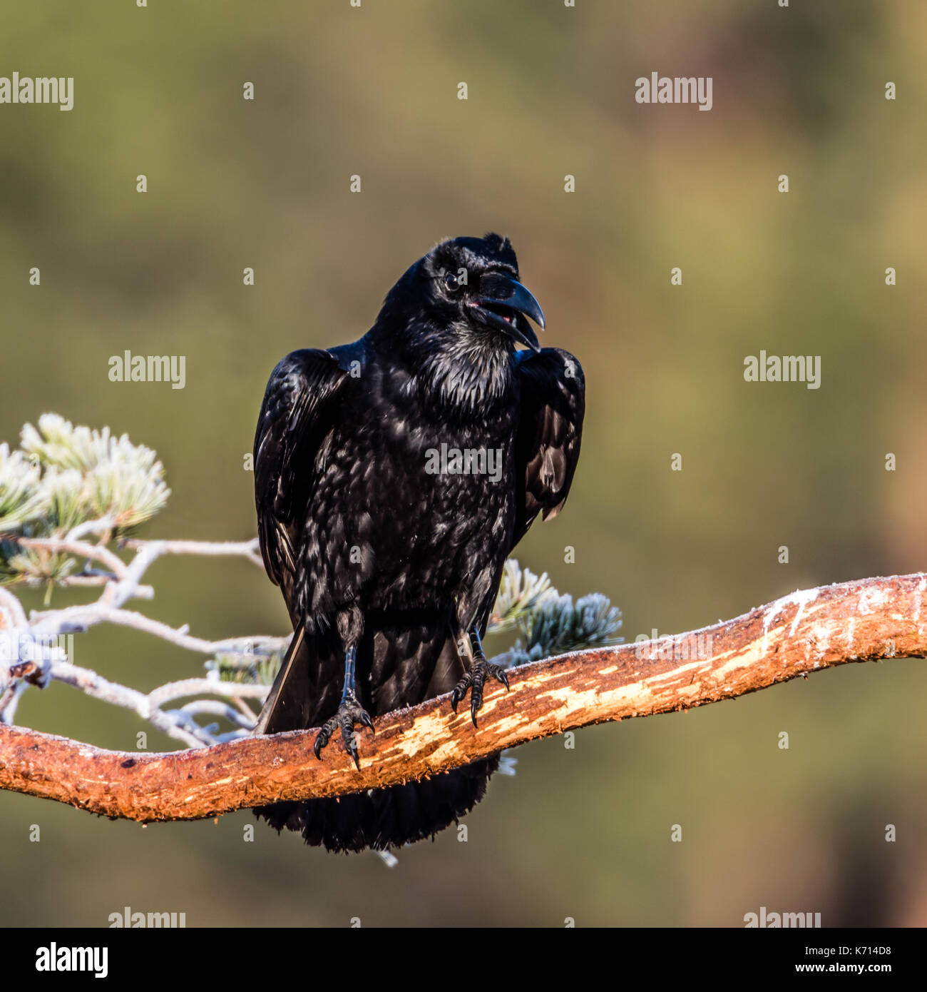 In norse mythology hi-res stock photography and images - Alamy