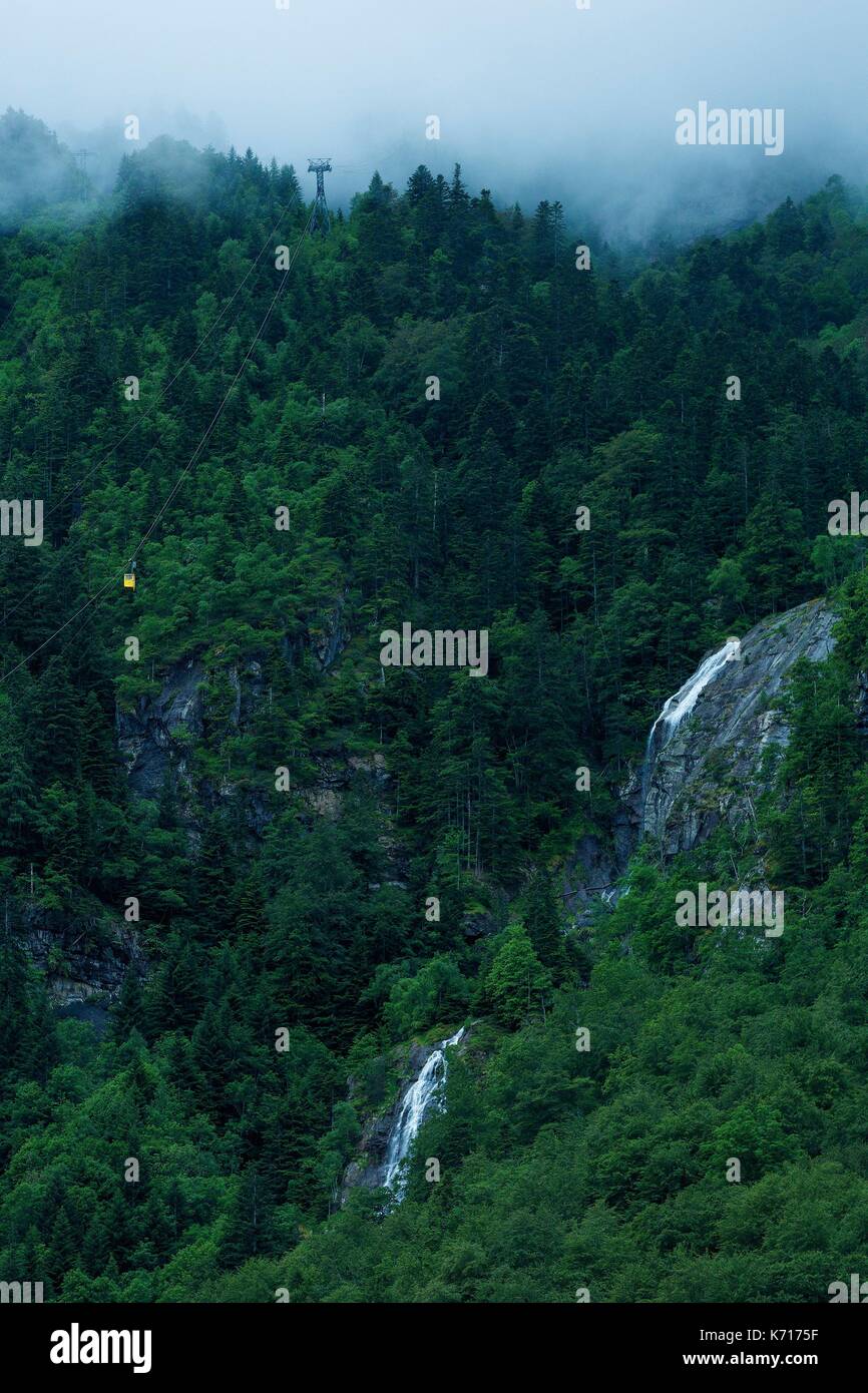 France, Ariege, Orlu, Orlu Nature Reserve, rainforest in summer Stock ...