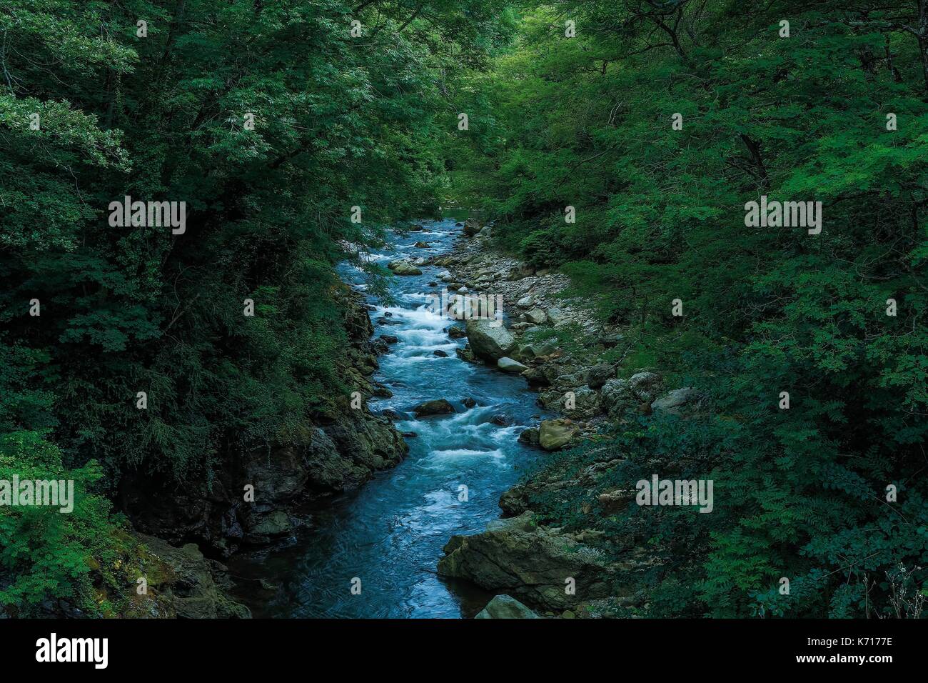 France, Ariege, Montoulieu, Evil Bridge, river in a bosky bower Stock ...