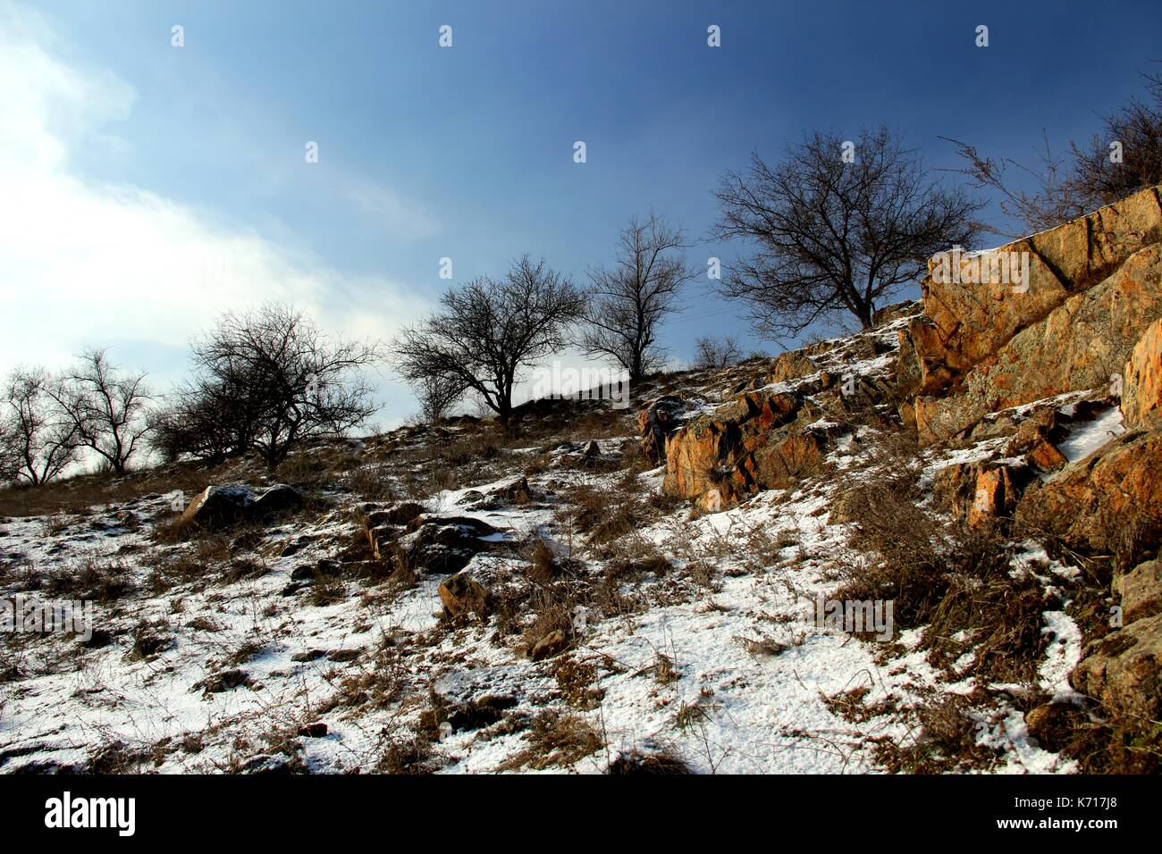 Winter frozen nature Stock Photo - Alamy