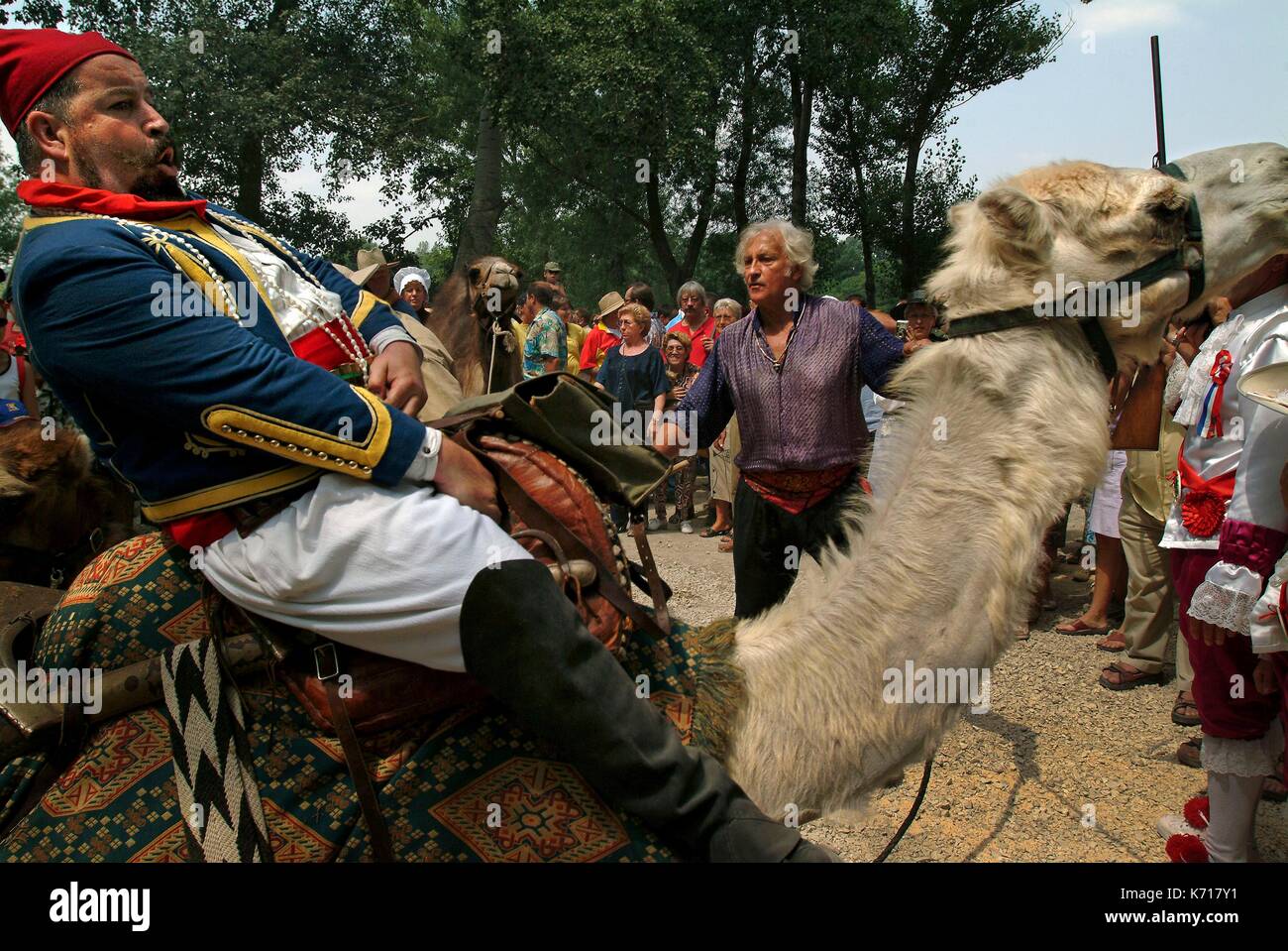 Tarasque festival hi-res stock photography and images - Alamy