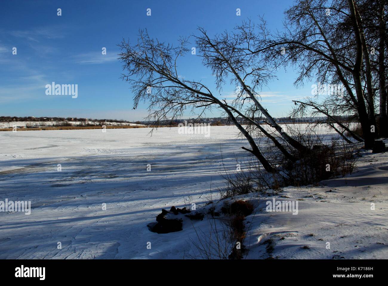 Winter frozen nature Stock Photo - Alamy