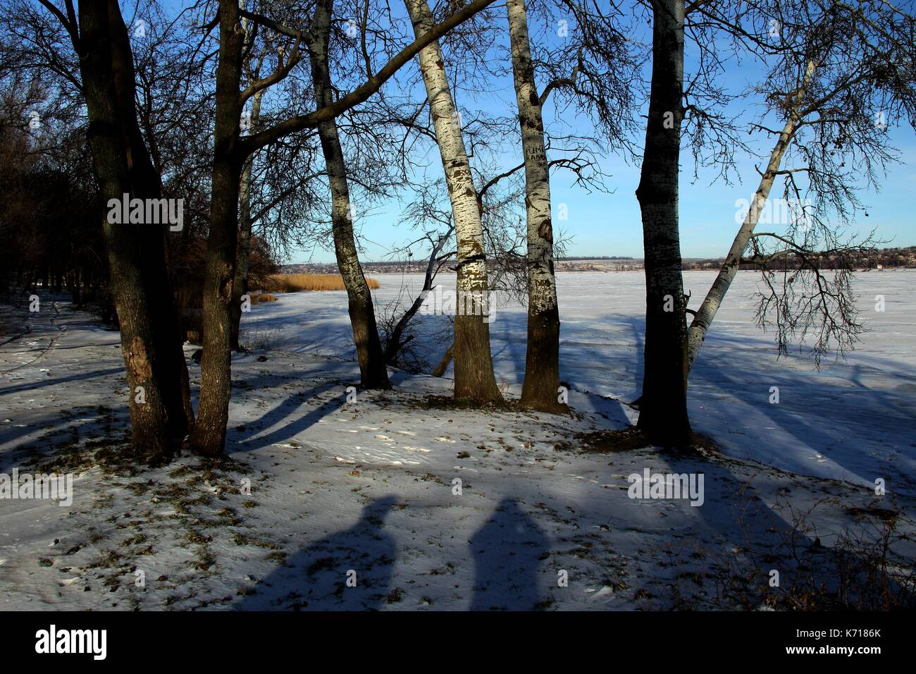Winter frozen nature Stock Photo - Alamy