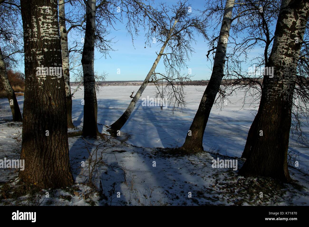 Winter frozen nature Stock Photo - Alamy