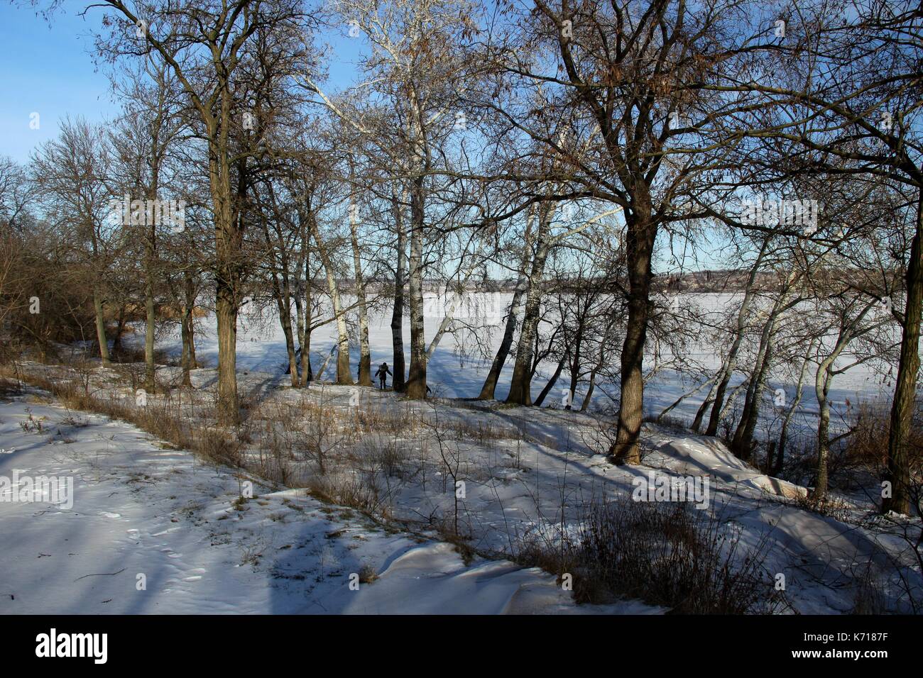 Winter frozen nature Stock Photo - Alamy