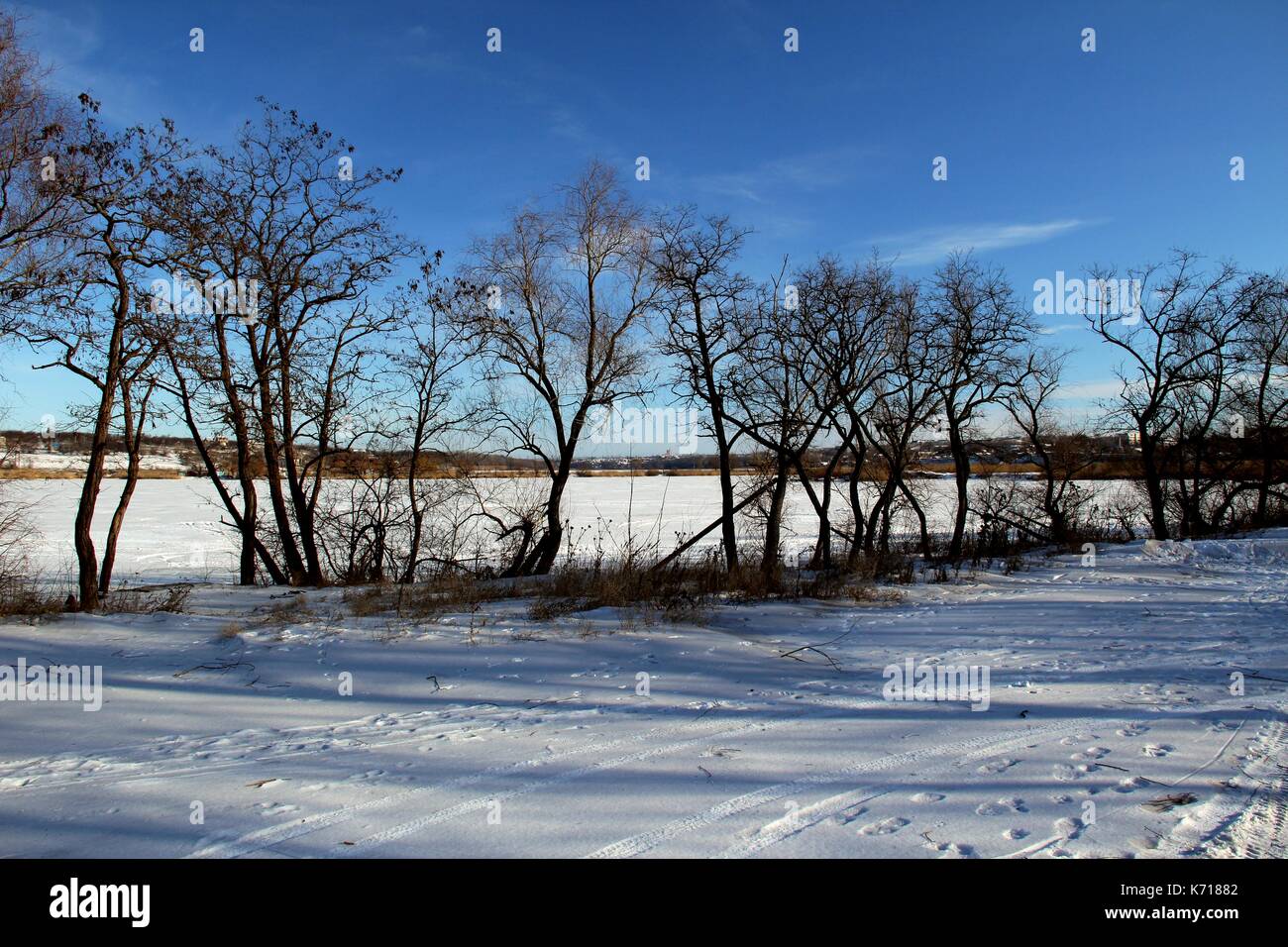 Winter frozen nature Stock Photo - Alamy