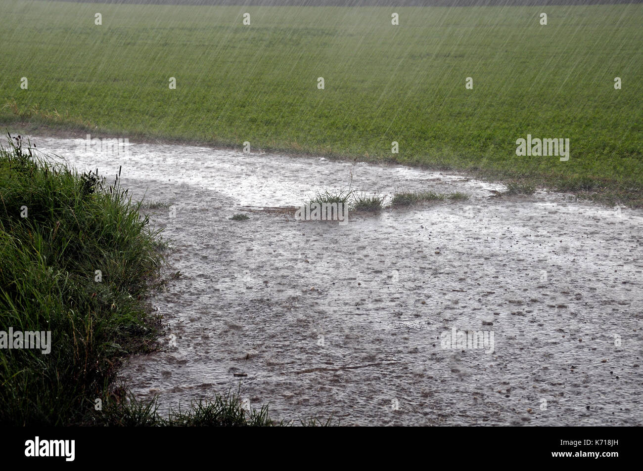 Torrential rain hi-res stock photography and images - Alamy