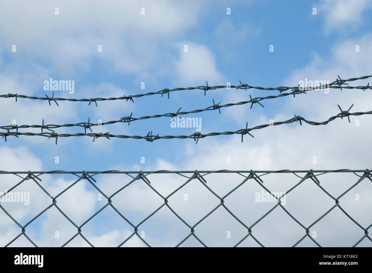 Barbed wire mesh netting hi-res stock photography and images - Alamy