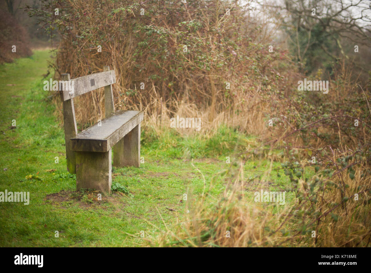 Wooden bench by a country path Stock Photo - Alamy