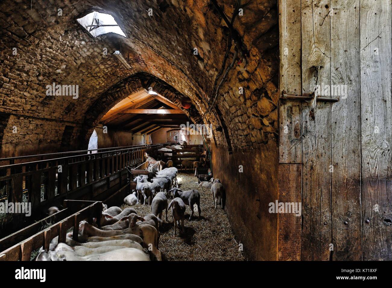 Stone vaults hi-res stock photography and images - Alamy